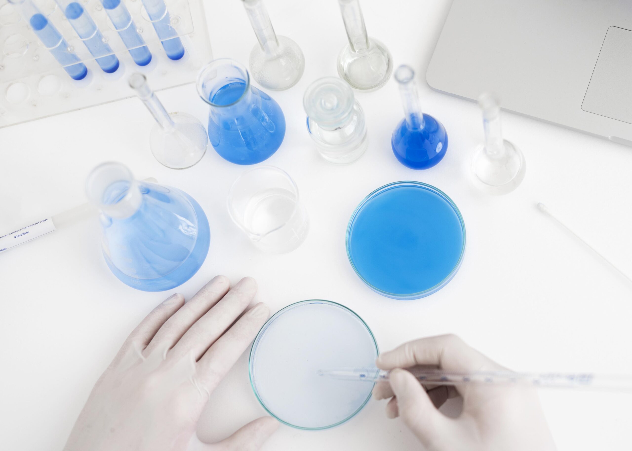 Essential Cell Culture Reagents and Media: A Complete Guide for Lab ...